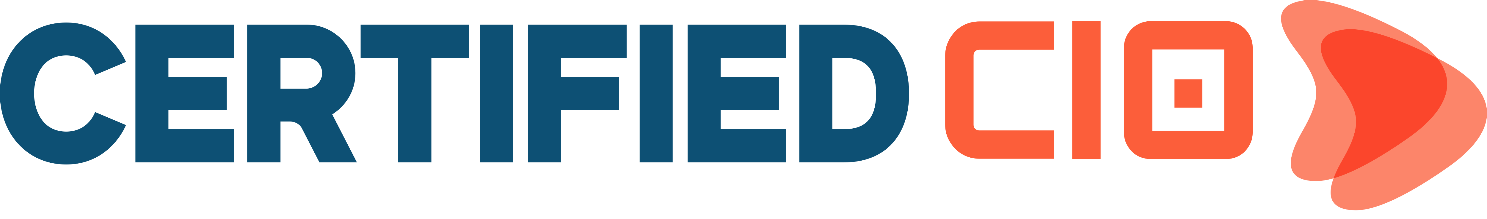Certified CIO SAT - Uncut Phinatic | Phin Security